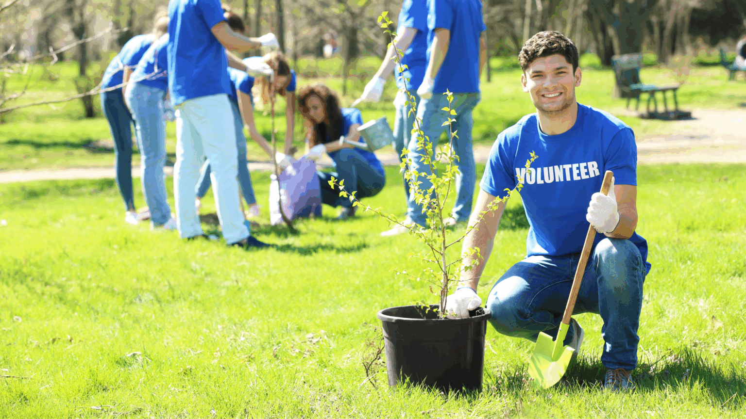 How to Get Involved in National Volunteer Week – Lowie Recruitment